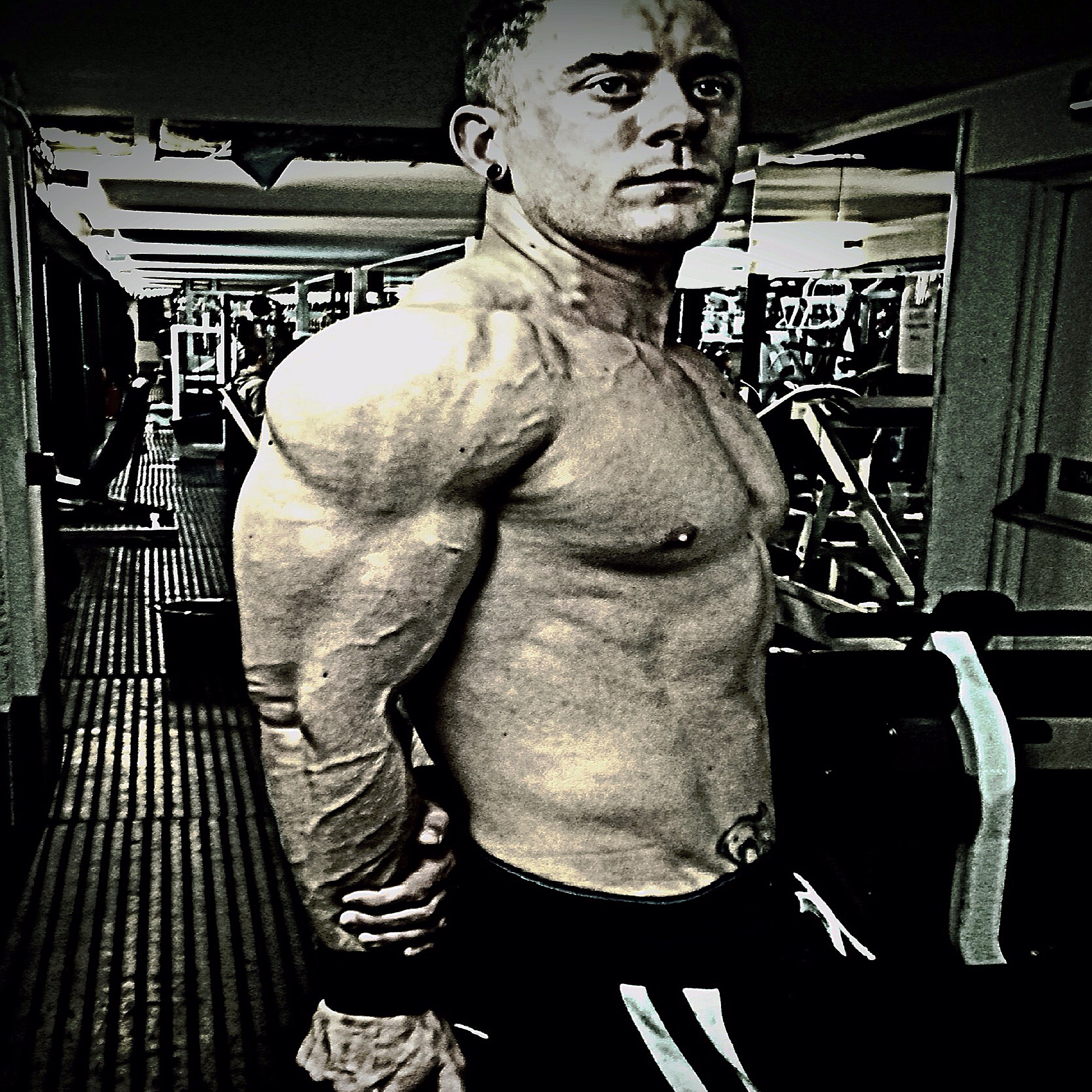 Alice B - Muscle Model | Ripped Models